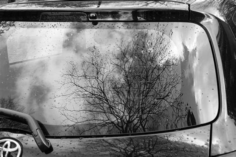 Types Of Replacement Auto Glass What Option Is The Best For You Vehicle