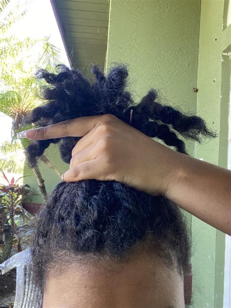 So This Is 2 Weeks Into My Starter Locs It Looks So Frizzy Should I