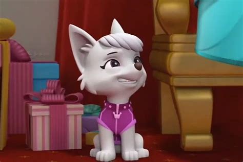 Pin By Eddy English On Paw Patrol Paw Patrol Pound Puppies