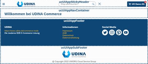 Udina Design System Udina Btp