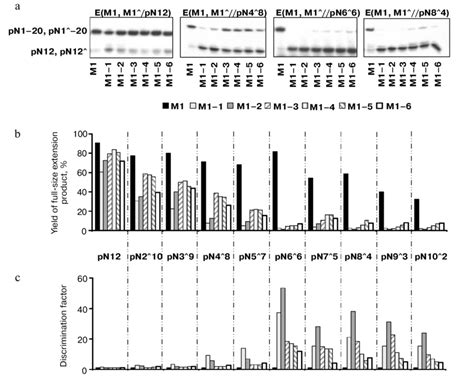 Dependence Of Yield Of Fulllsize Product Of Taq Dna Polymerase