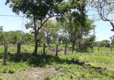Chácara sítio quartos na Comunidade Estância Gomair s n Zona Rural Rosário Oeste MT
