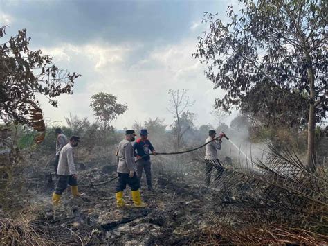 Goriau Api Membara Di Sungai Guntung Inhu Riau Hanguskan 3116