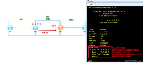 路由 Ospf Lsa介绍、1~7类lsa详细介绍ospf Lsa类型详解 Csdn博客