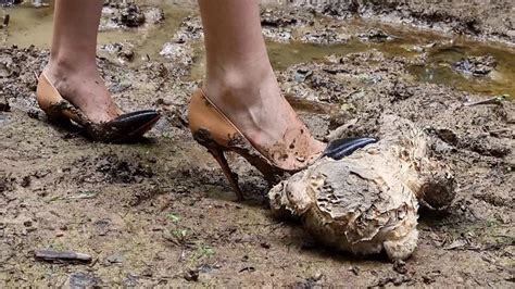High Heels Wet And Muddy Teddy Bear Crushed By High Heels In Mud High Heels Muddy Crush
