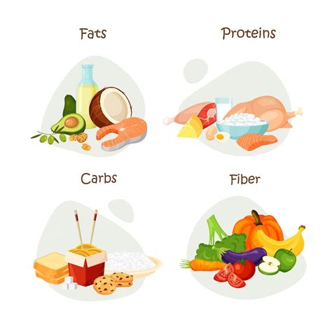 Premium Vector Set Of Healthy Macronutrients Proteins Fats Fibers And
