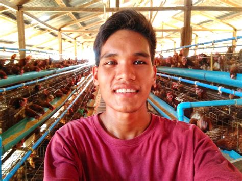ရွှေဝတ်မှုံ ရွှေဝတ်မှုံ ကြက်ဥ လက်လီ၊လက်ကားရောင်းဝယ်ရေး