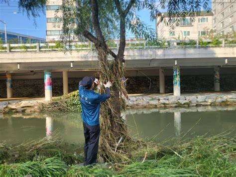집회시위 현장 남녀 경찰관 합동 배치…혼성기동대 시범운영 파이낸셜뉴스