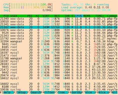 php nginx 网站并发压力测试及优化 CSDN博客