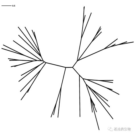 如何轻松画出好看的蛋白进化树 知乎