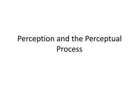 · Perception And The Perceptual Process 2023pdf
