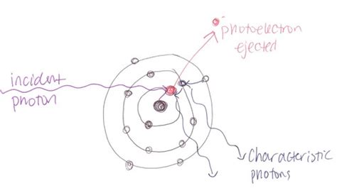 Windham Interactions With Matter Flashcards Quizlet