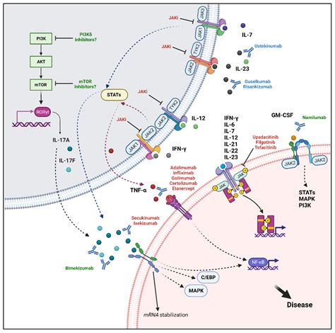 Ijms Free Full Text Uncovering The Underworld Of Axial