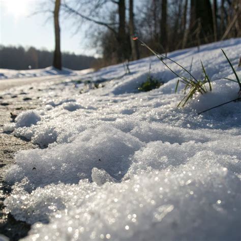 Textured Close Up Of An Icy Surface In A Winter Landscape Generative