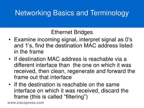 ppt networking basics ccna 1 chapter 2 powerpoint presentation free