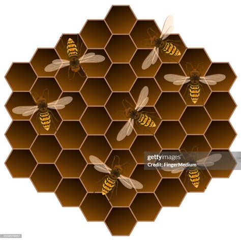 Wasp Hive With Wasps High Res Vector Graphic Getty Images