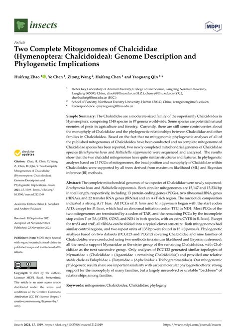 Pdf Two Complete Mitogenomes Of Chalcididae Hymenoptera