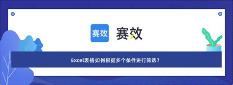Excel表格如何根据多个条件进行筛选 应用软件 赛效