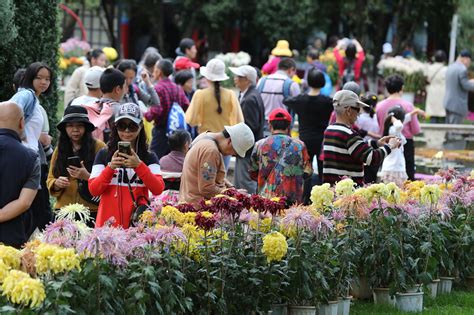 昆明各大公园游人如织 云桥网