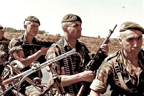 French Military Rifles