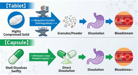 Capsule Vs Tablet Manufacturing Science And Engineering Guide