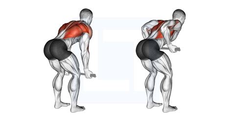 Resistance Band Bent Over Row Guide Benefits And Form