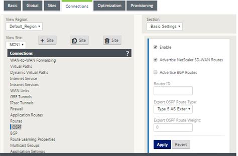 SD WAN Overlay Routing Citrix SD WAN 11 4