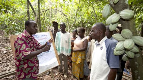 The Power Of Collaboration 6 Success Factors For Private NGO