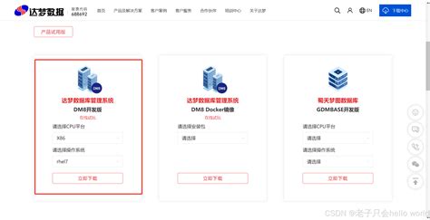 Linux二进制安装达梦数据库！linux 达梦二进制安装 Csdn博客