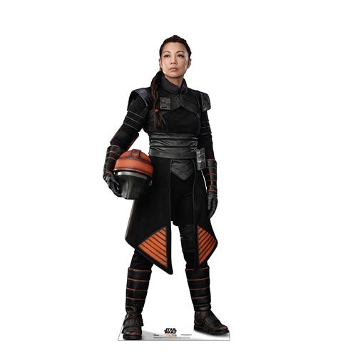 Advanced Graphics Cardboard Standup Wayfair