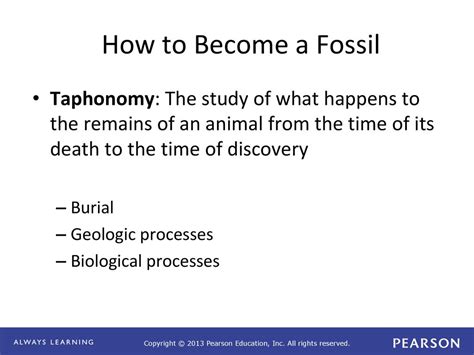 Chapter 9 Geology And Primate Origins Ppt Download