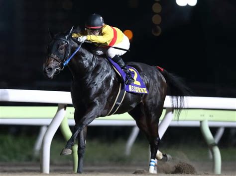 【佐賀・サマーチャンピオン枠順確定】コパノキッキングは6枠7番、ヤマニンアンプリメは1枠1番 競馬ニュース Netkeiba