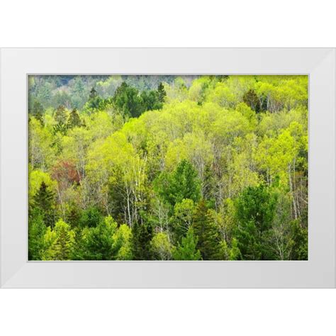 Grandmaison Mike 14x11 White Modern Wood Framed Museum Art Print