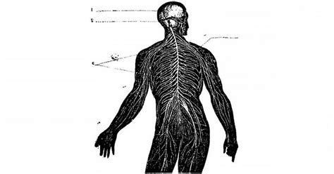 Paresthesia Causes Symptoms And Best Treatment Methods