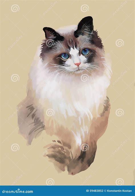 猫例证传染媒介水彩画象 向量例证 插画 包括有 塑造 朋友 美丽如画 高兴 相当 全部赌注 图象 59483852