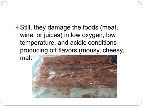 Microbial Food Spoilage Growth And Multiplication Of Micro Organisms Ppt