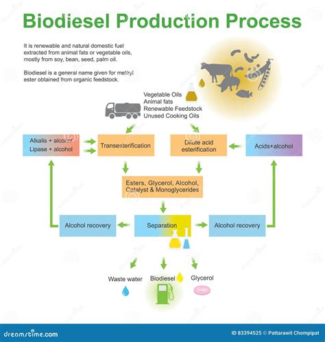 To Vegetable Oil Biofuel Process