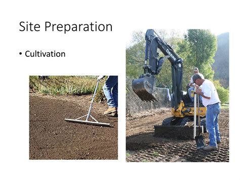 Weed Control Methods Pdf