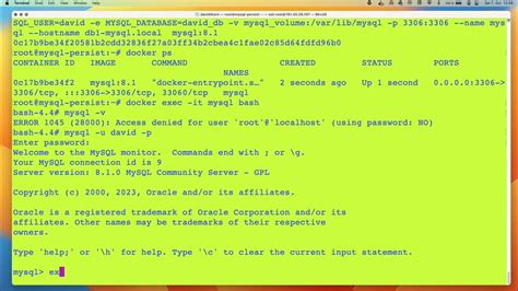 How To Run Mysql In A Docker Container On Ubuntu With Persistent Local Data Youtube