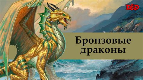 Кто такие бронзовые драконы Dandd Lore Youtube