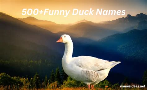 500funny Duck Names Cool Cute And Creative Ideas Names Ideas