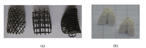 Lattice Scaffold Concept Designs Fabricated Using Additive