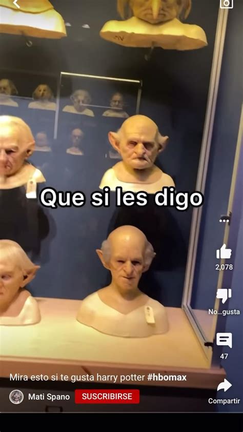 Para Fans De Harry Potter Harry Potter Gracioso Libros De Harry