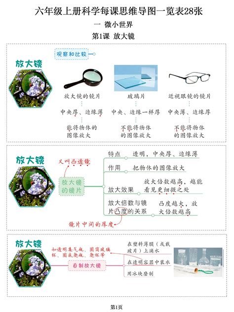 六年级上册《科学》每课思维导图一览表28张，满分考试背它就够了 知乎