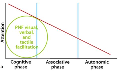 PNF Part I Flashcards Quizlet