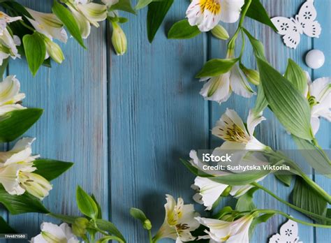 꽃 인사말 카드 프레임입니다 나무 배경에 자연 Alstroemeria 꽃과 배너입니다 Alstroemeria 꽃과 텍스트에 대