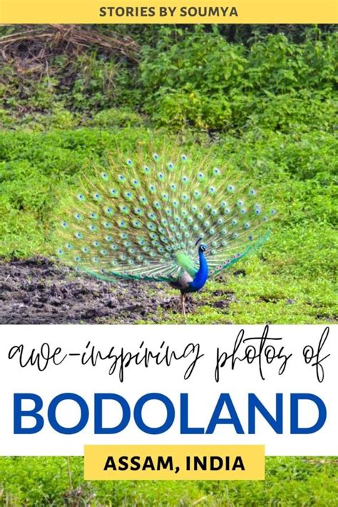 20 Stunning Photos Of Bodoland Assam To Inspire You To Explore This