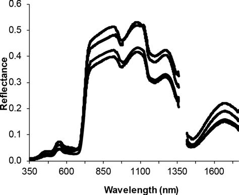 Reflectance Spectra Collected At Four Sample Points Over Download Scientific Diagram