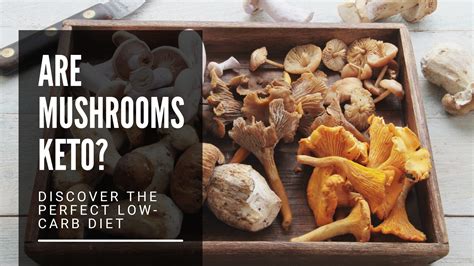 Are Mushrooms Keto Discover The Perfect Low Carb Diet Brain Brands