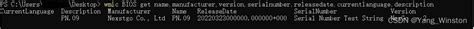 查询获取smbios的方法windows查看smbios Csdn博客